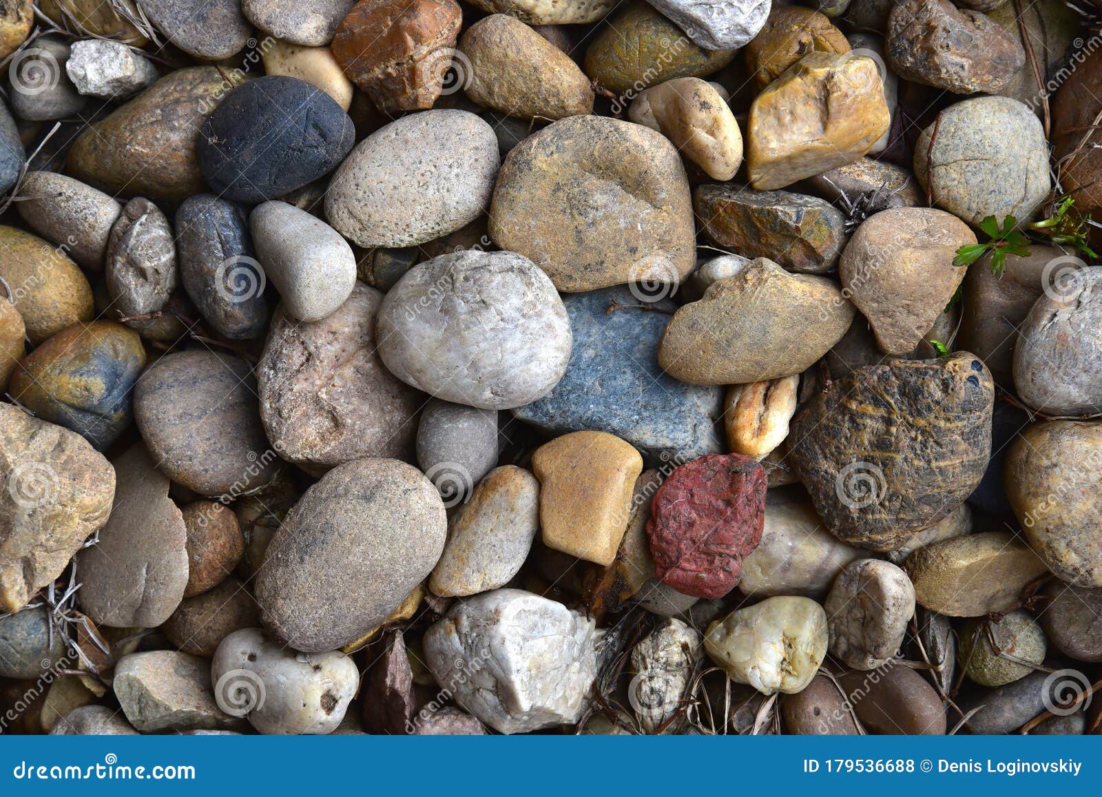 A Scattering of Multi-colored Stones. Pebble Background Texture Stock ...