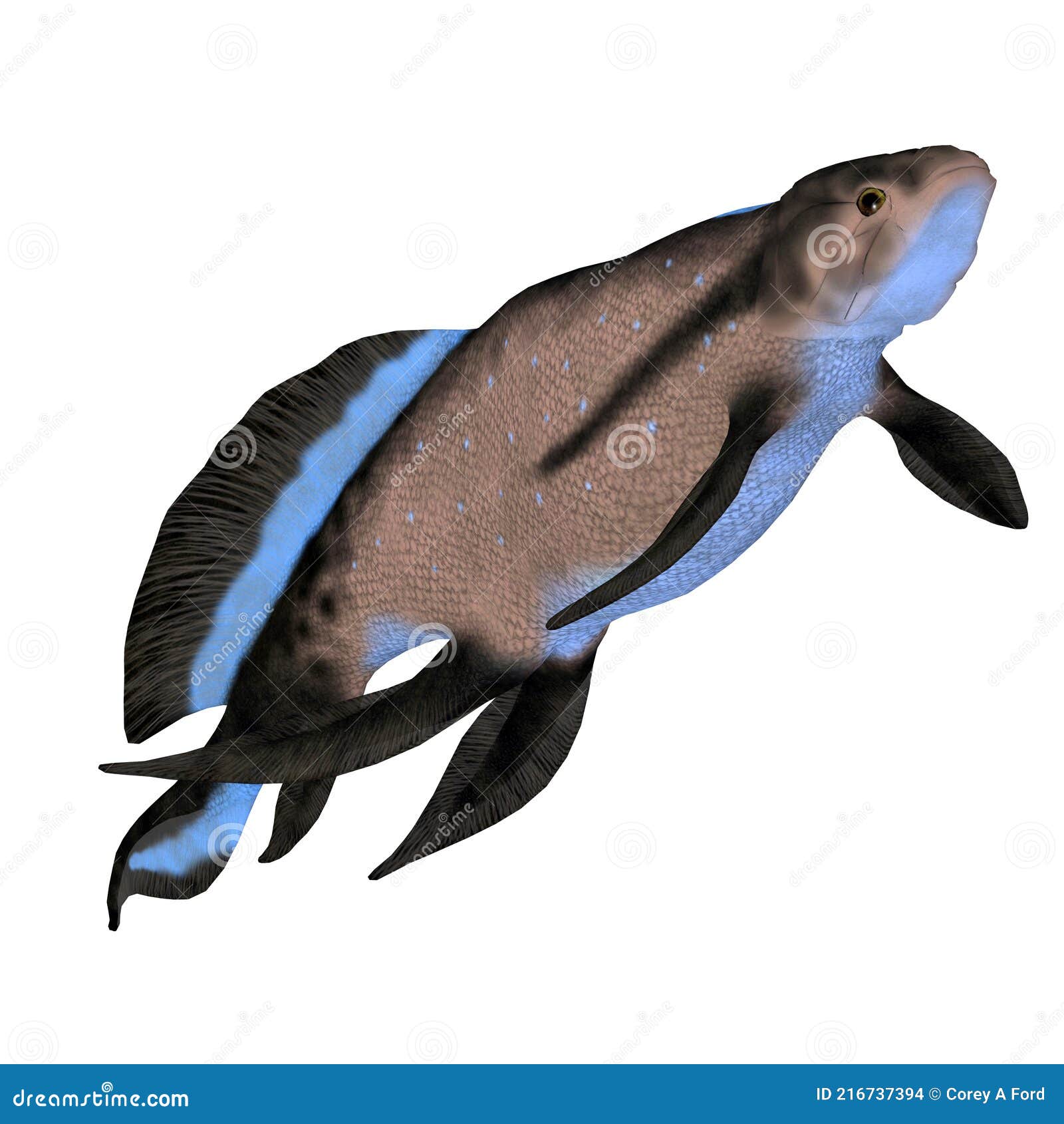 Scaumenacia Fish Head stock illustration. Illustration of marine ...