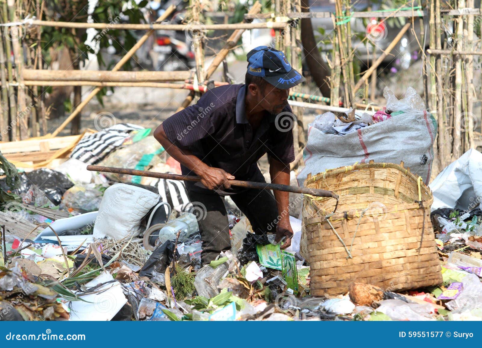 Scavengers editorial photography. Image of scavengers - 59551577