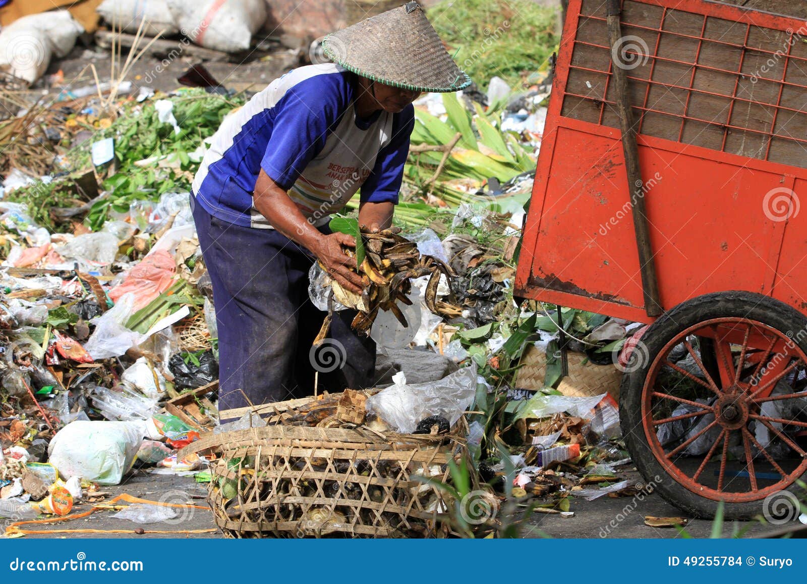 Scavengers editorial stock image. Image of java, people - 49255784