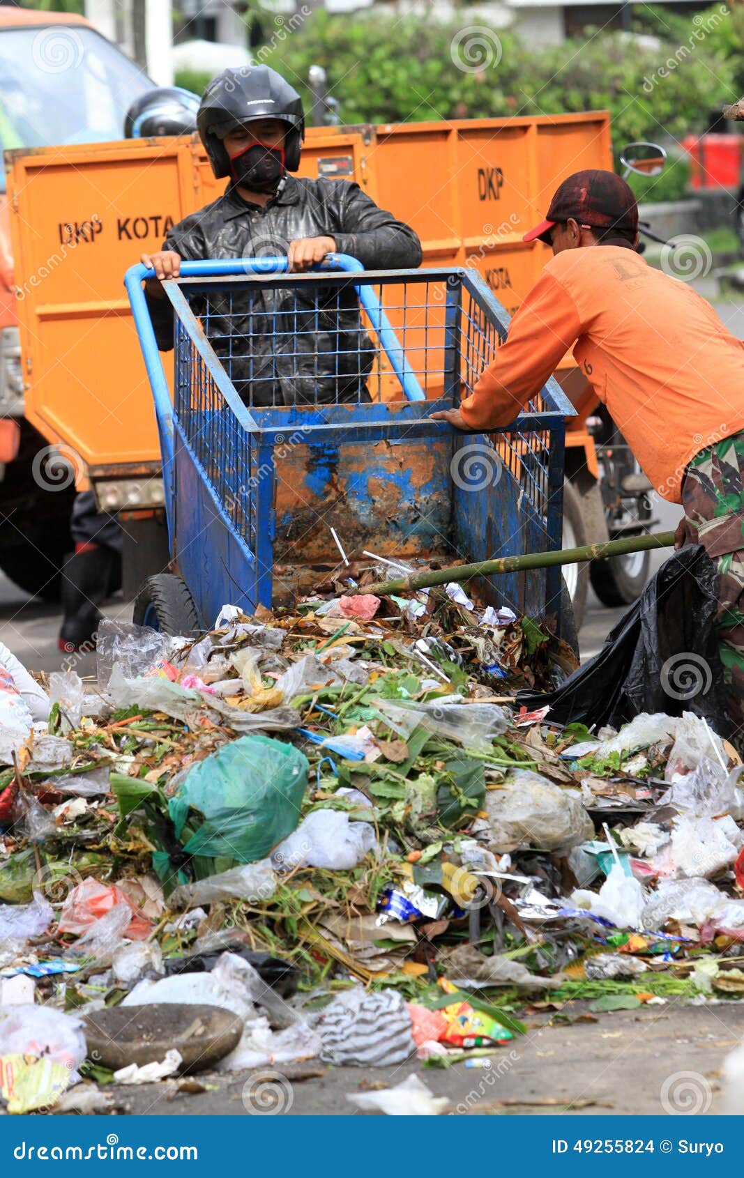 Scavengers editorial stock image. Image of scavenger - 49255824