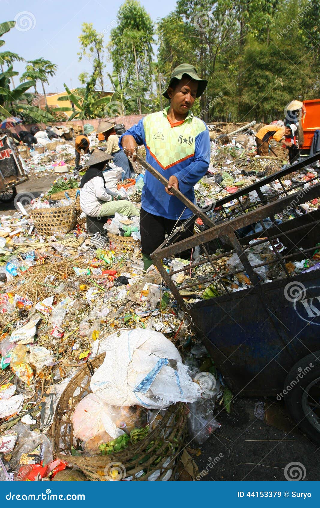 Scavengers editorial stock image. Image of java, sorting - 44153379