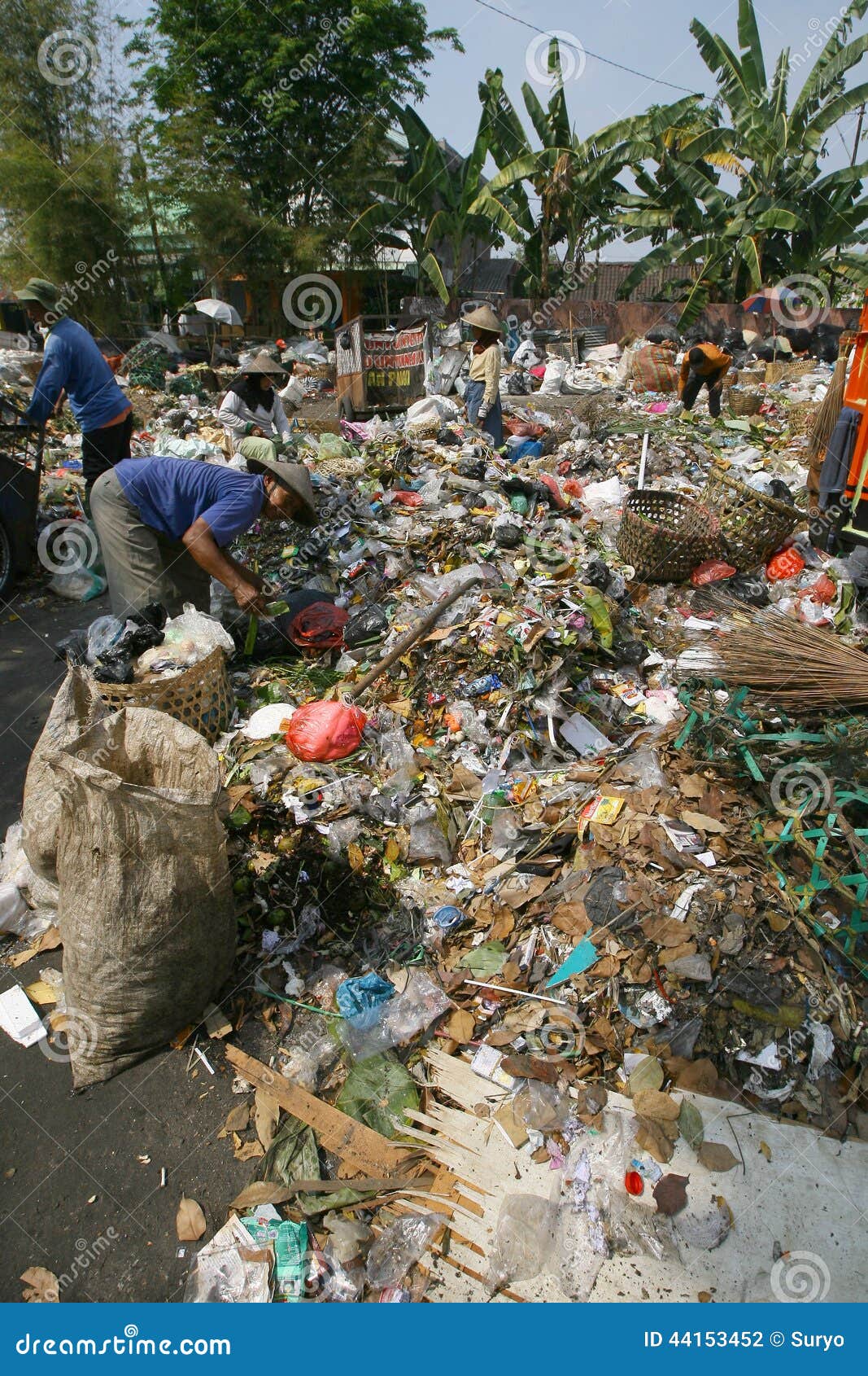 Scavengers editorial photography. Image of waste, scrap - 44153452
