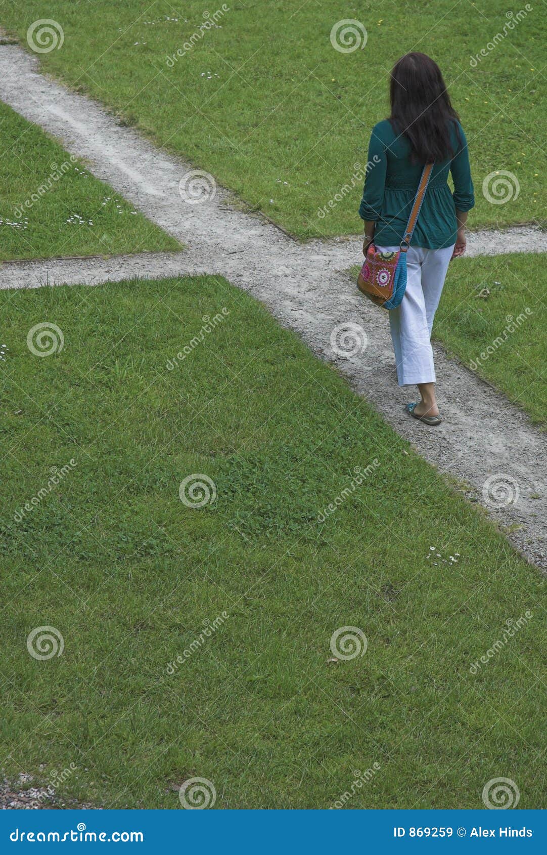 Scelte avanti immagine stock. Immagine di ragazza, avvicinamento - 869259