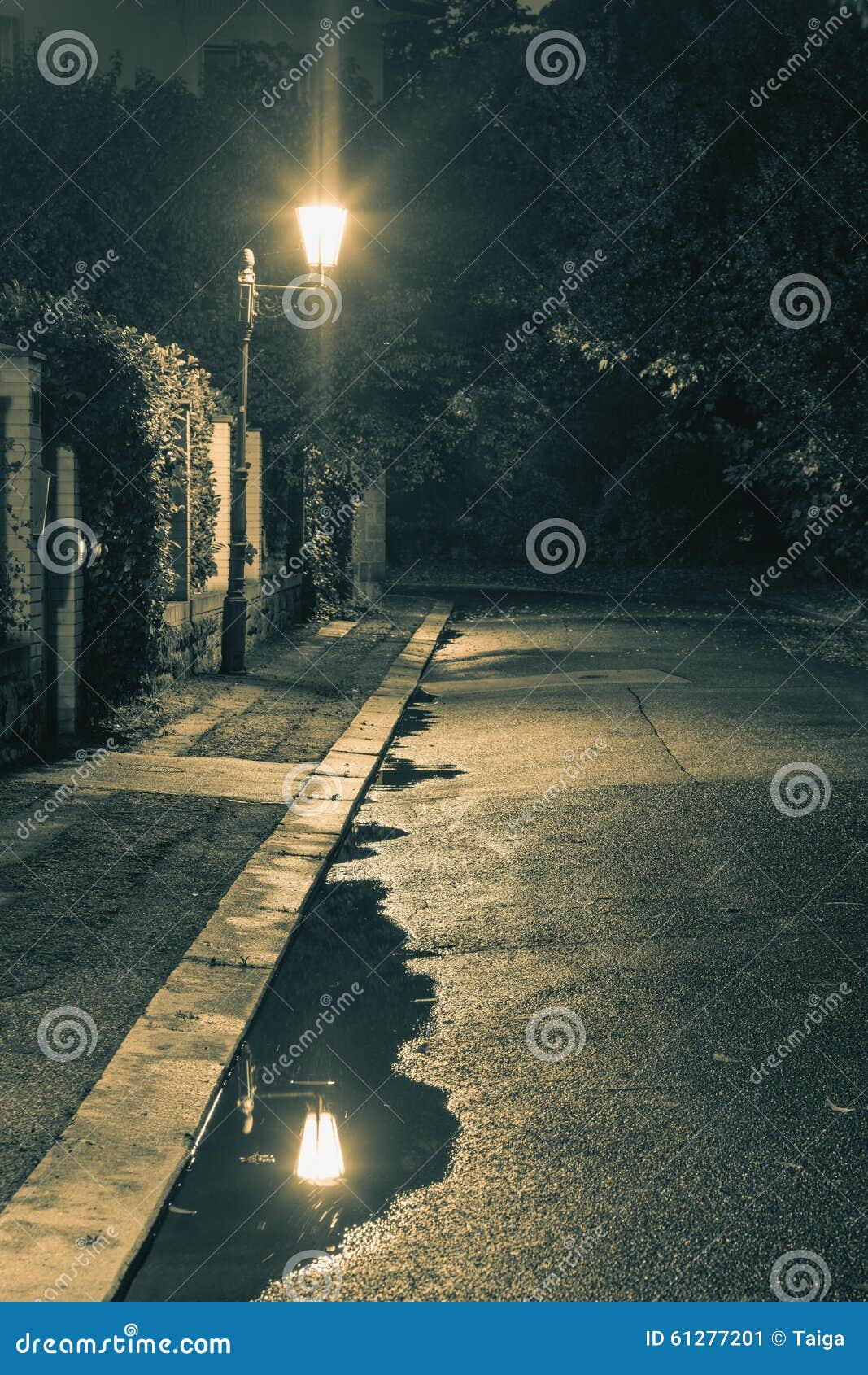 Scena Di Notte Dopo Pioggia - Luci Della Lanterna E Pozza, Vecchia Via ...