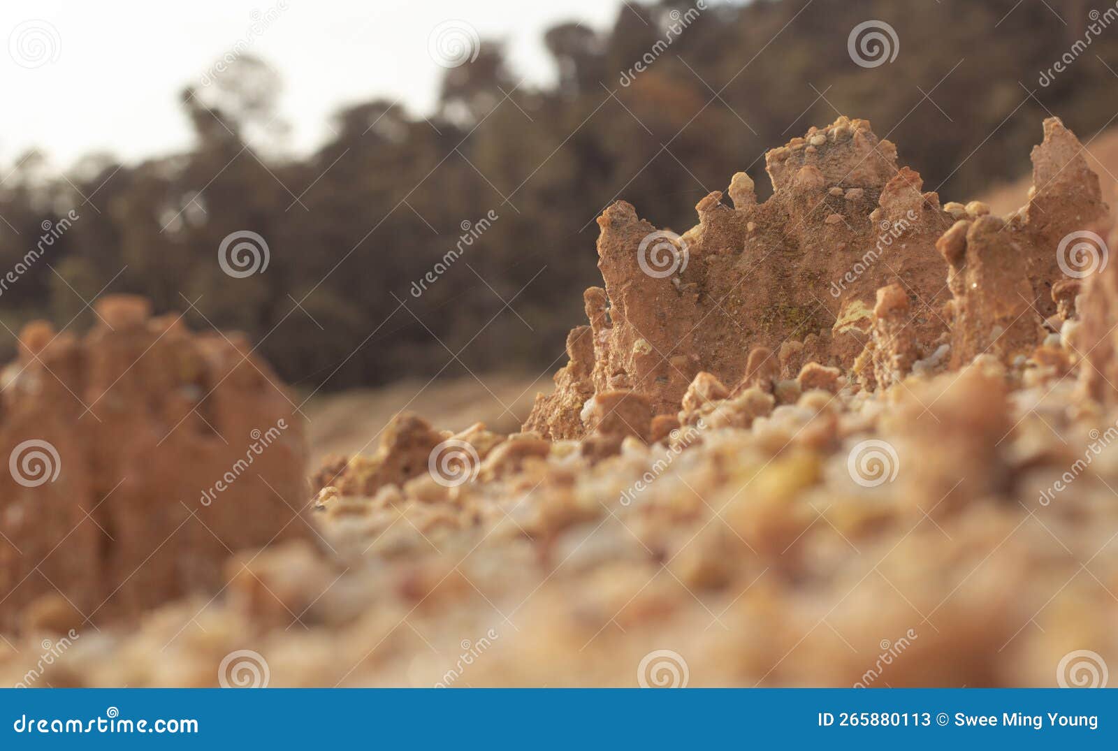 Scene Around the Deserted Land Due To Deforestation and Earth Mining ...