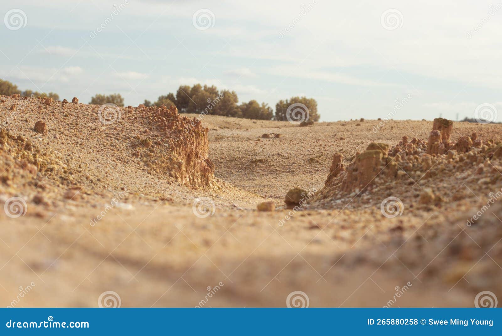 Scene Around the Deserted Land Due To Deforestation and Earth Mining ...