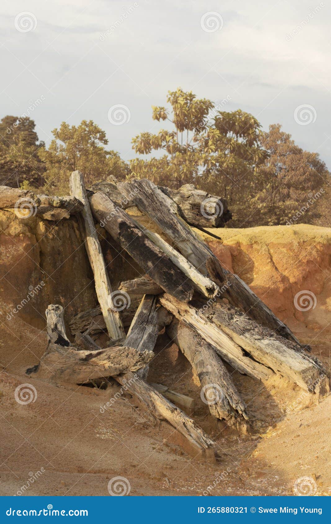 Scene Around the Deserted Land Due To Deforestation and Earth Mining ...