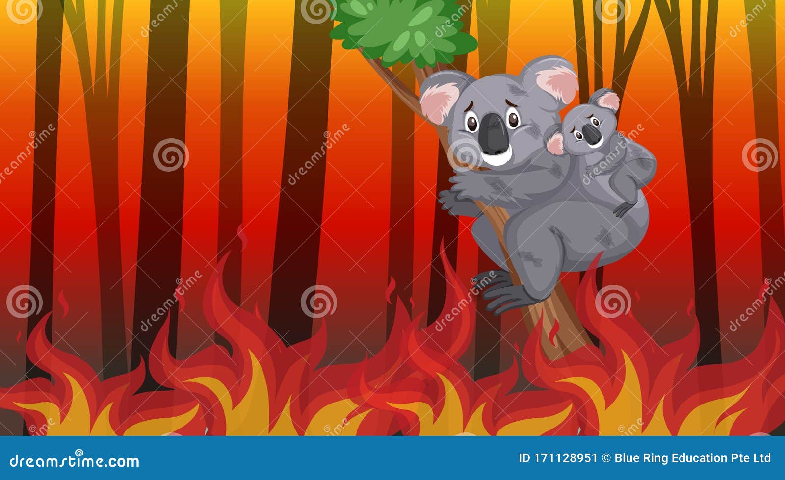 Scene with Big Wildfire Burning Koalas in the Forest Stock Illustration ...
