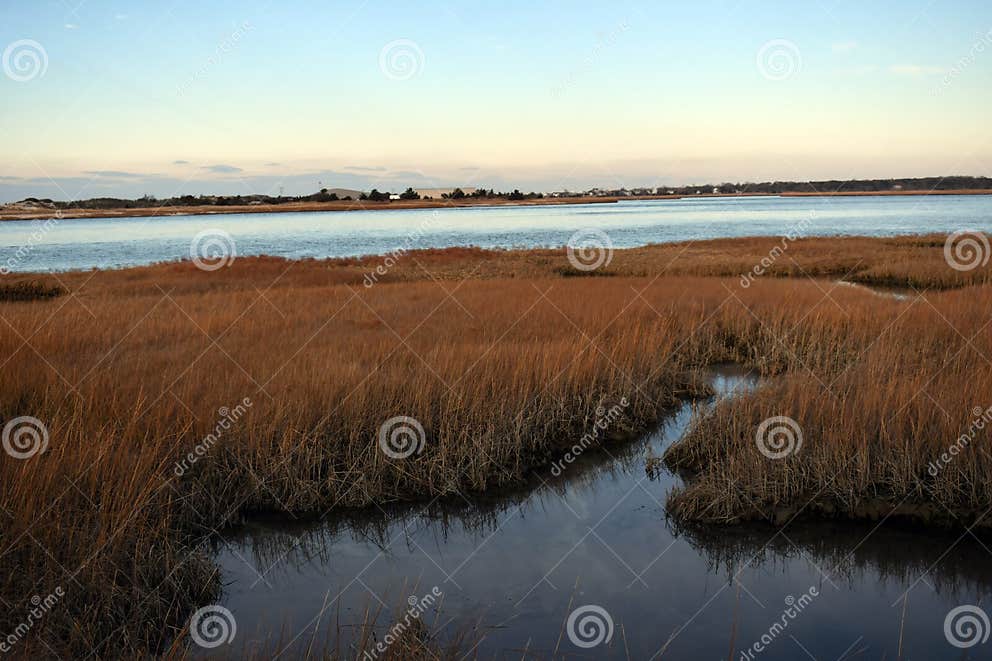 Cape Cod in Winter stock photo. Image of ripples, coast - 351121026