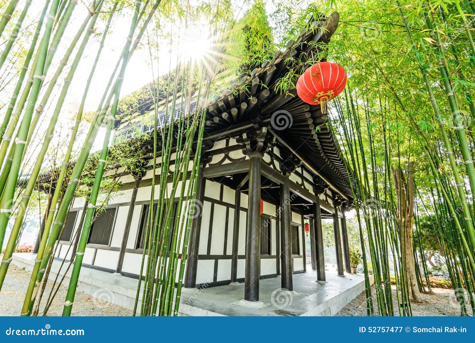 Scene of the Chinese Bamboo Garden Stock Image - Image of leaf ...