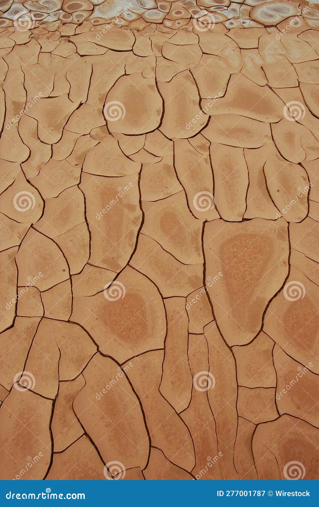 Scene of a Desolate Desert Landscape with a Cracked Earth Surface Stock ...