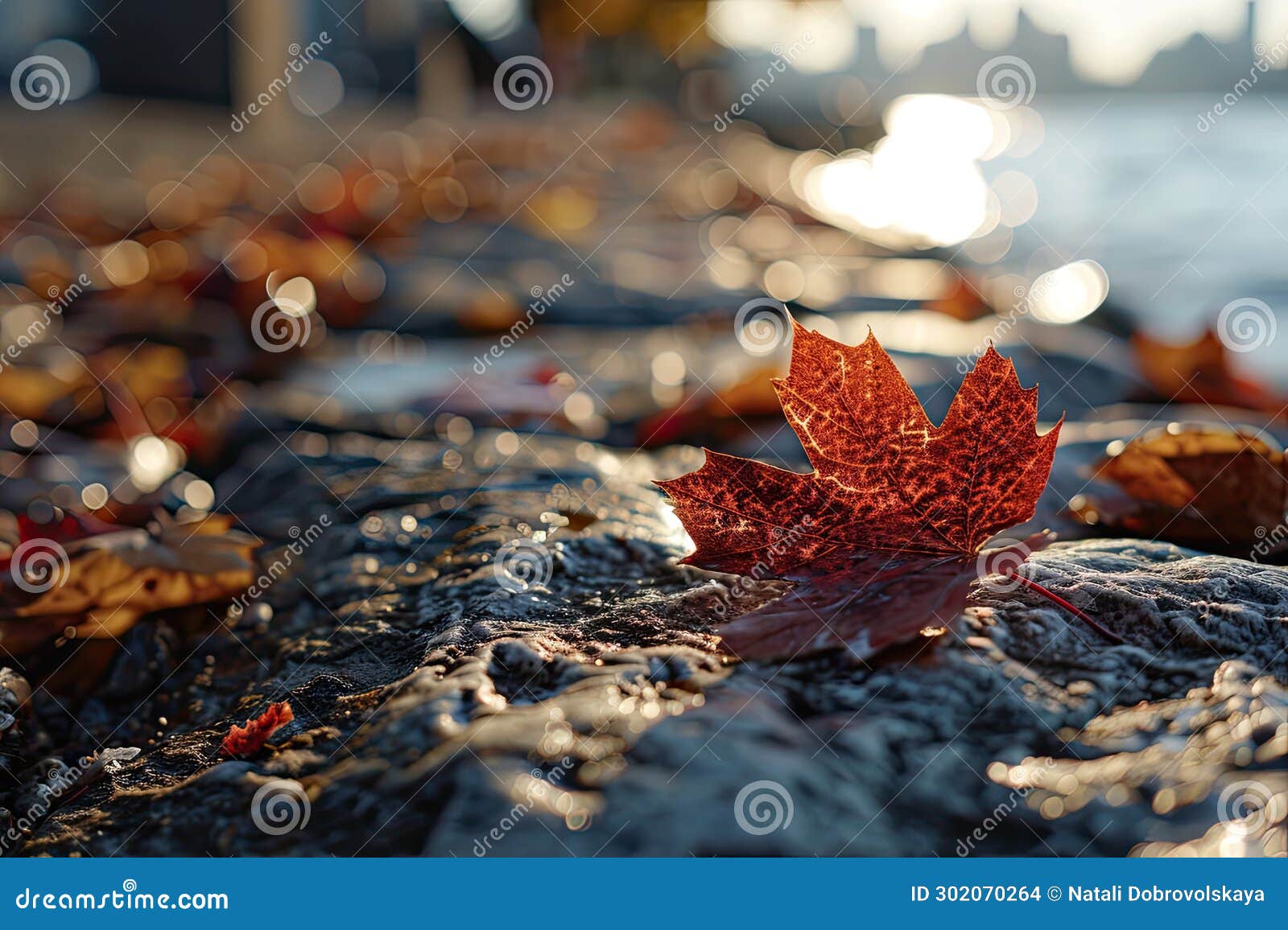 Scene Dominated by the Iconic Maple Leaf, Rendered in Striking Red ...