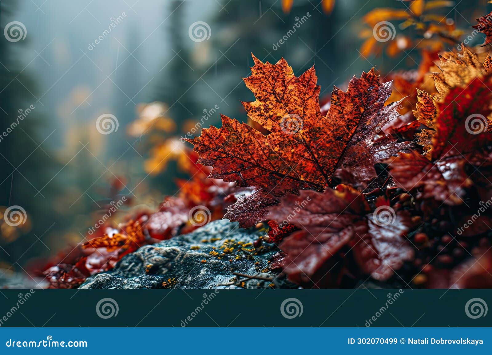 Scene Dominated by the Iconic Maple Leaf, Rendered in Striking Red ...
