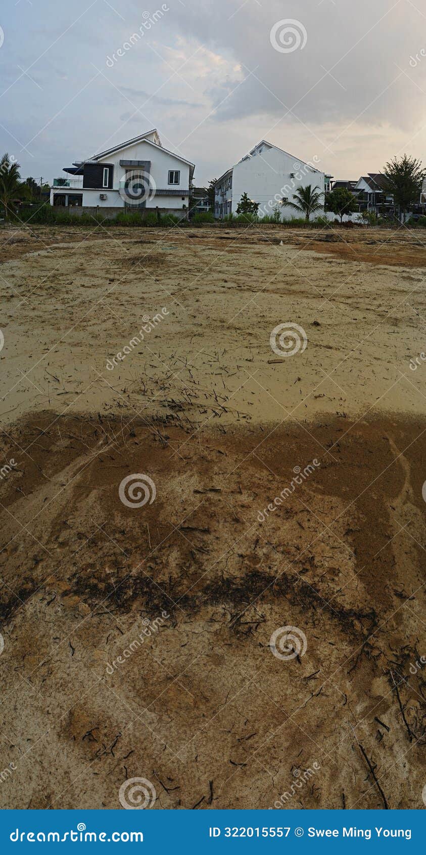 Scene at the Drywall Mud from the Stagnant Pool of Rainwater. Stock ...