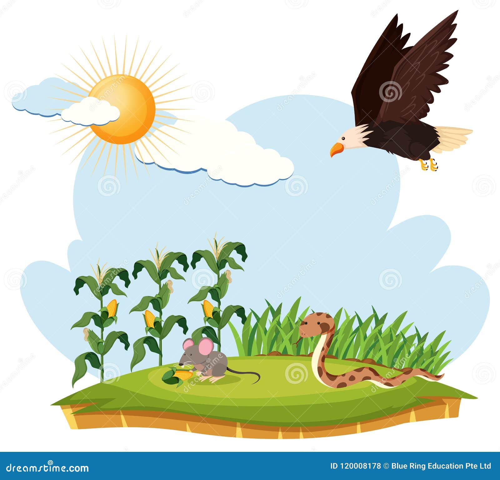 Mouse In Farm Barn House At Night. Fieldmouse Cartoon Vector ...