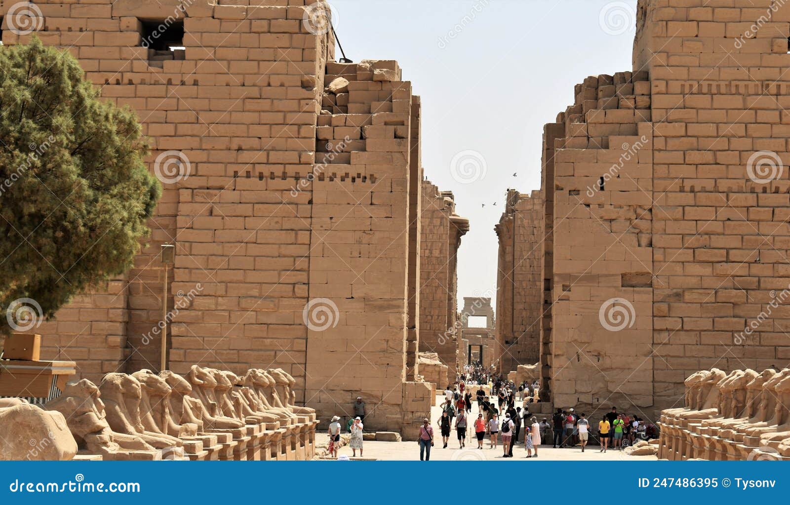 Scene from Egyptian Temples on the Nile River Editorial Image - Image ...