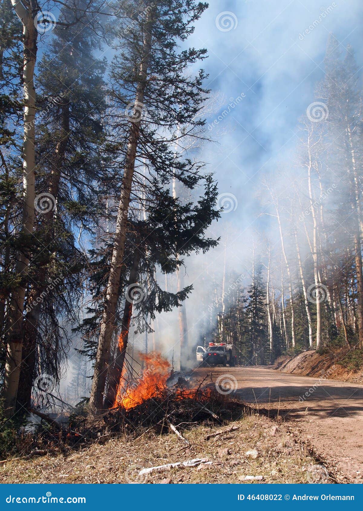 On Scene stock photo. Image of fighters, forest, emergency - 46408022