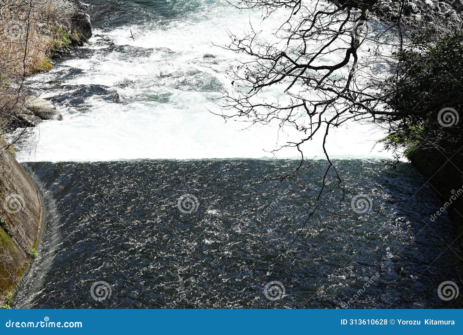 Scene of Flowing Water in a Spring Stream in Japan. Stock Photo - Image ...