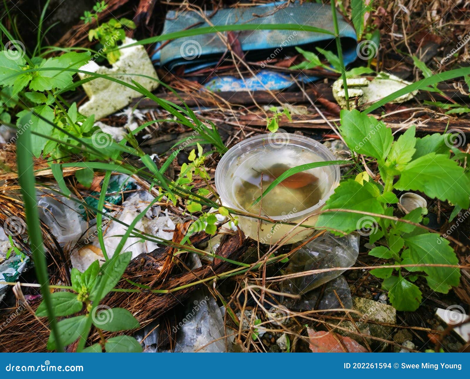 Scene of the Garbage of Transparent Plastic Container Thrown Everywhere ...