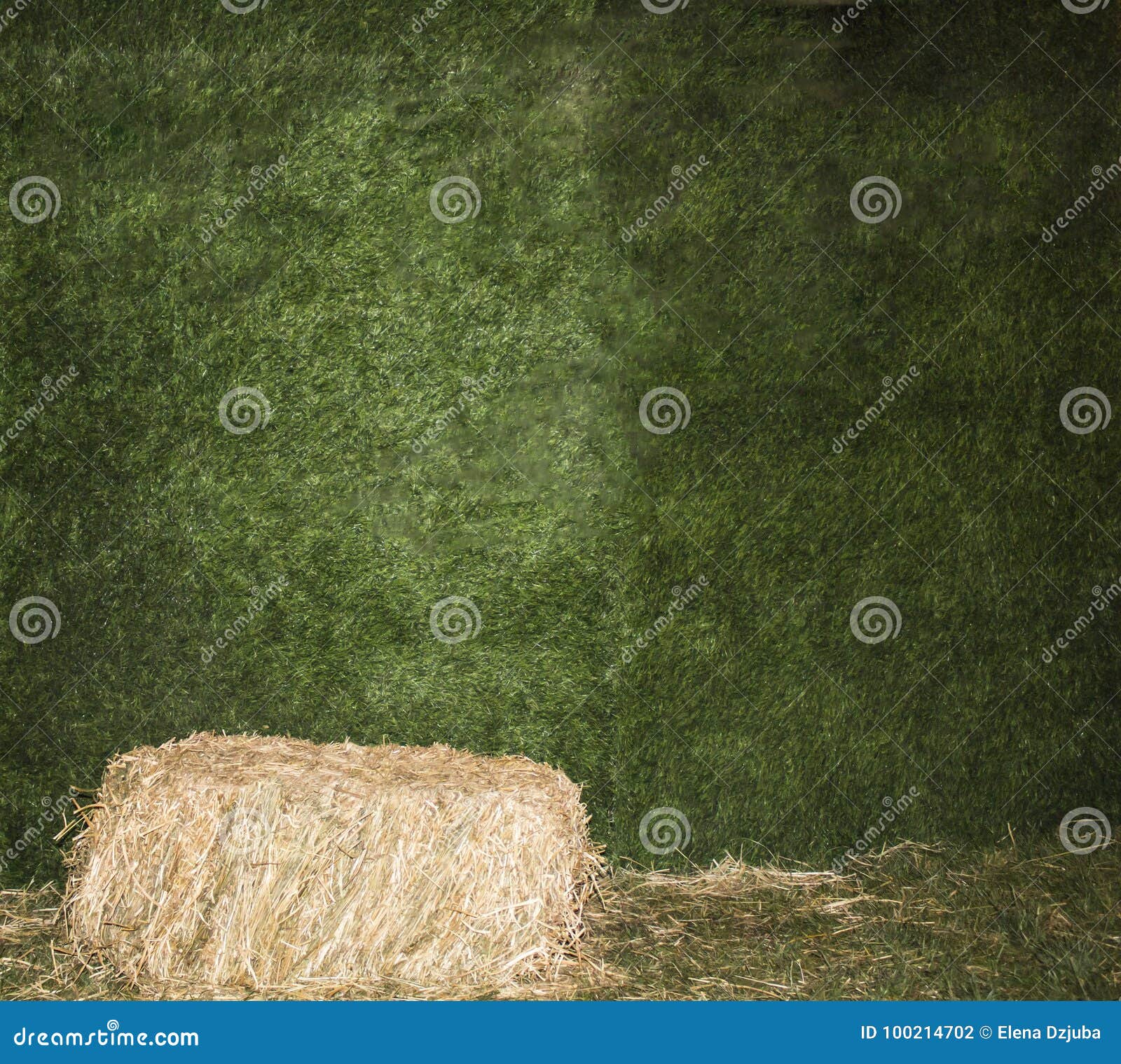 Scene With Hay In The Meadow. Beautiful Scenery. A Stack Of Hay. Sheaf ...