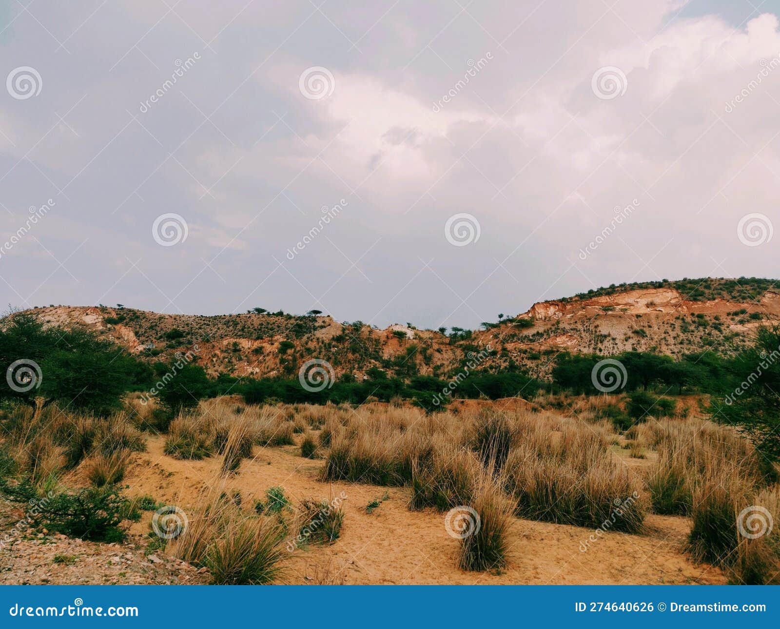 Scene 2 stock photo. Image of good, weather, scene, nature - 274640626
