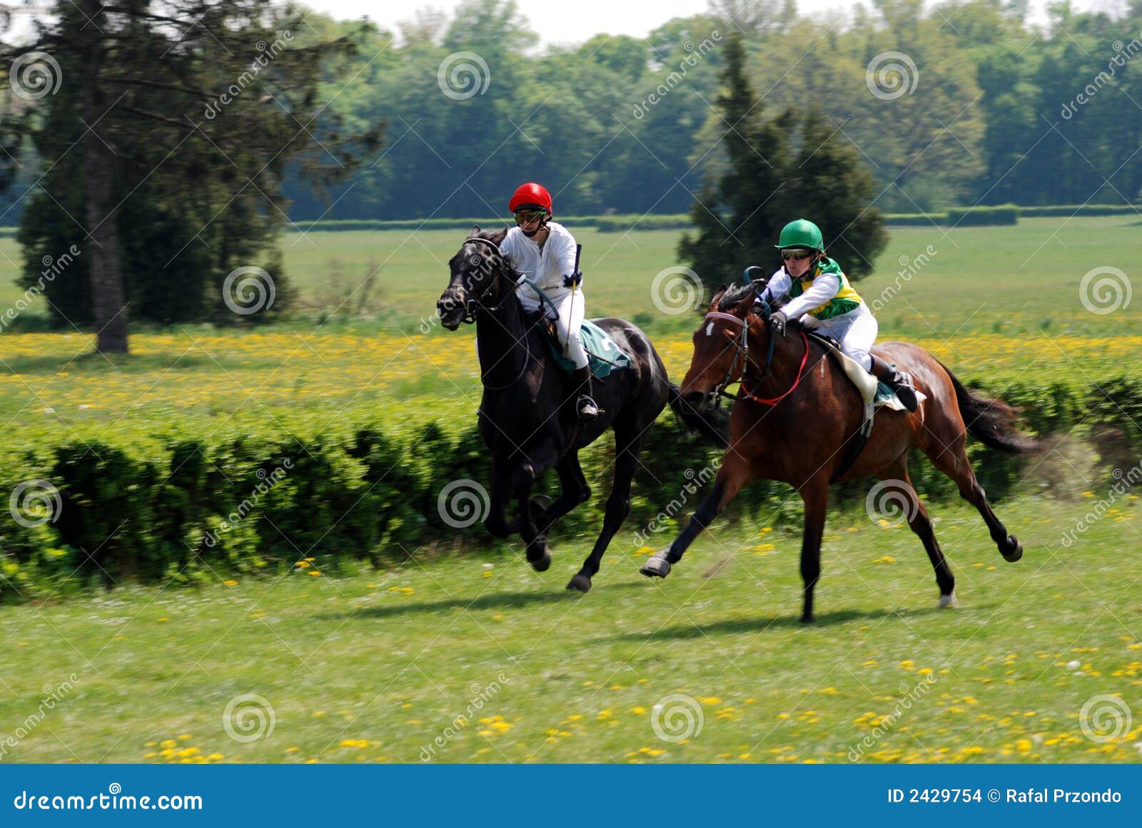 A scene of a horse race stock photo. Image of movement - 2429754