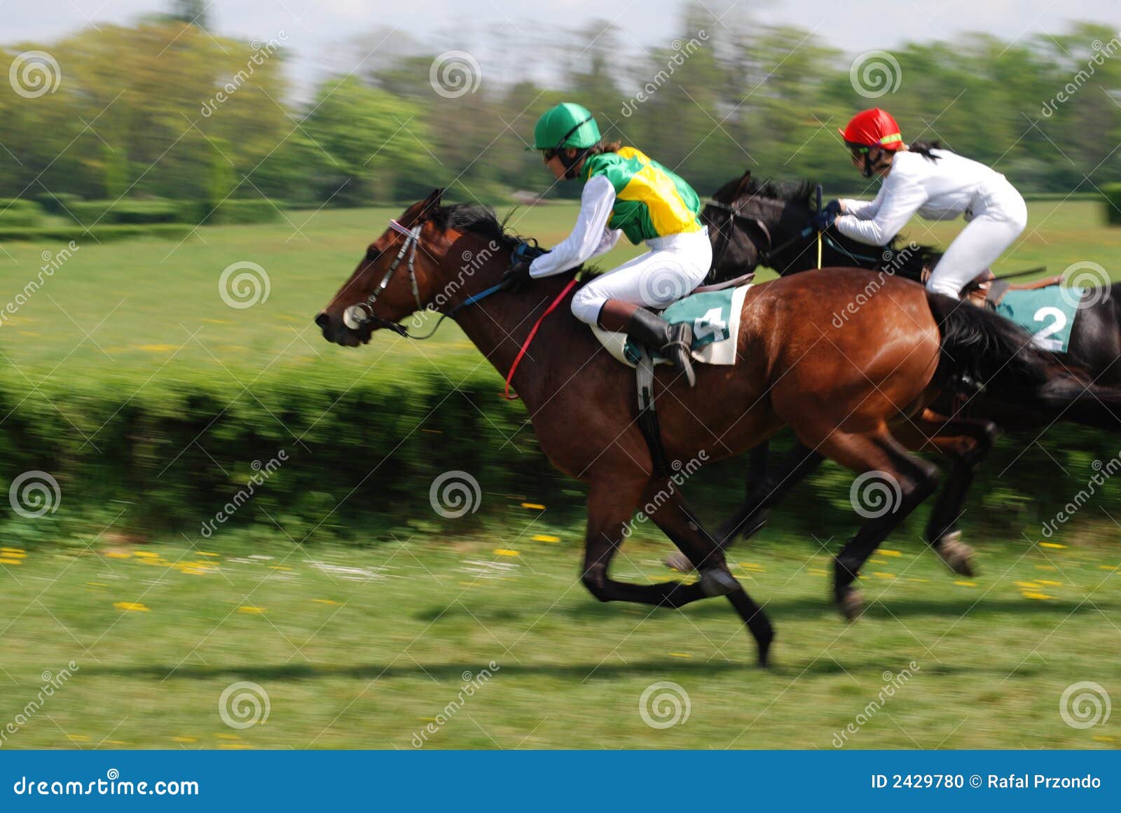 A scene of a horse race stock photo. Image of flat, horse - 2429780
