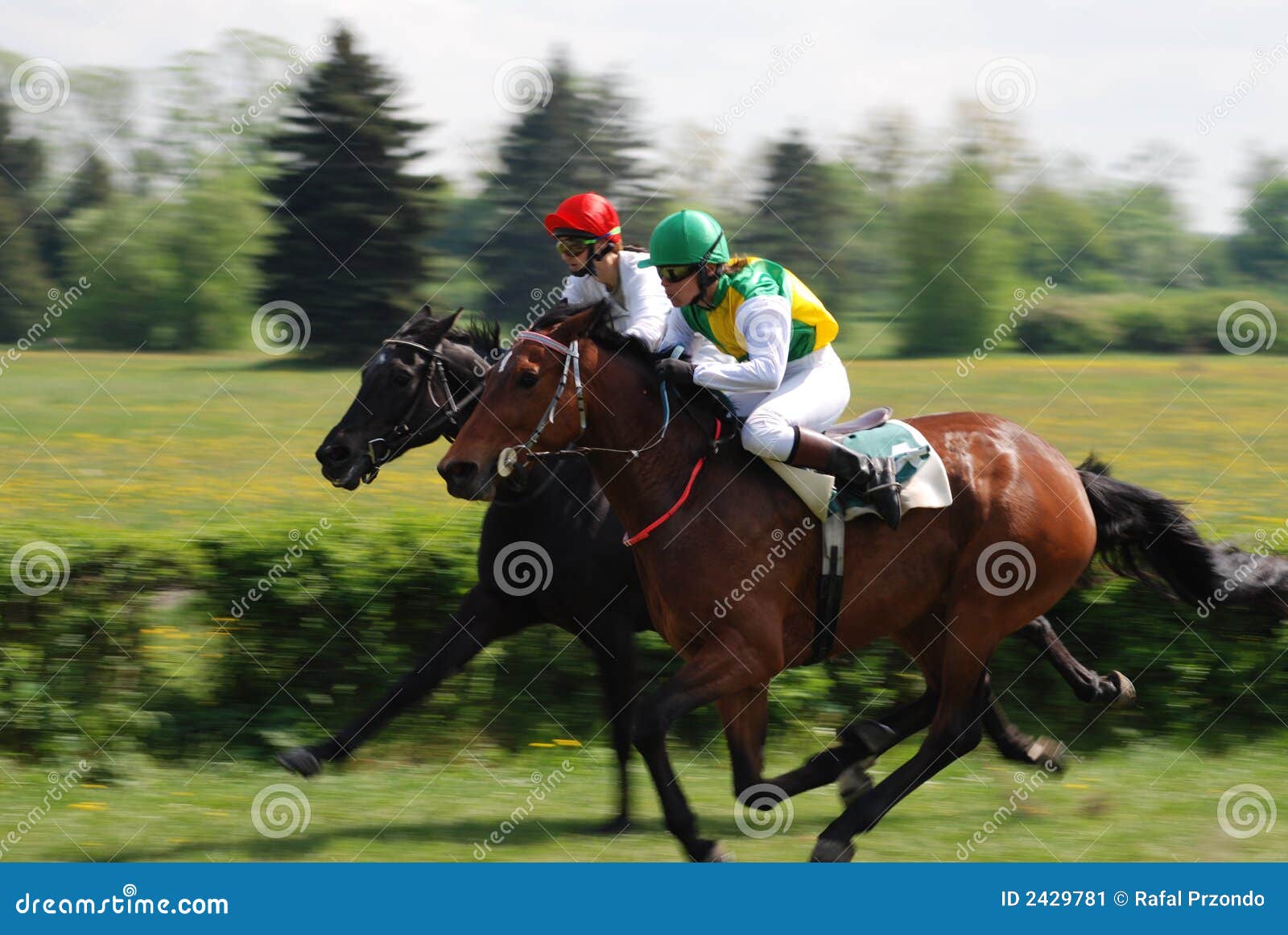A scene of a horse race stock image. Image of fast, jockey - 2429781