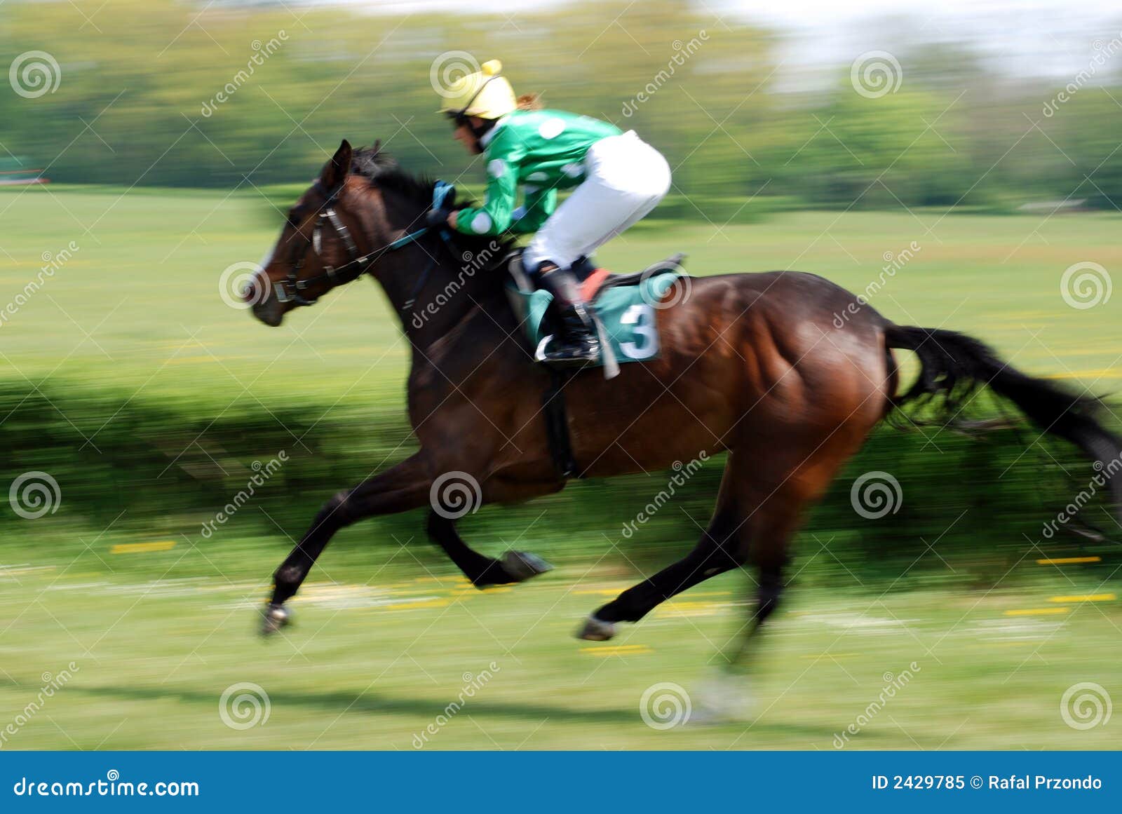 A scene of a horse race stock image. Image of grass, hippodrome - 2429785