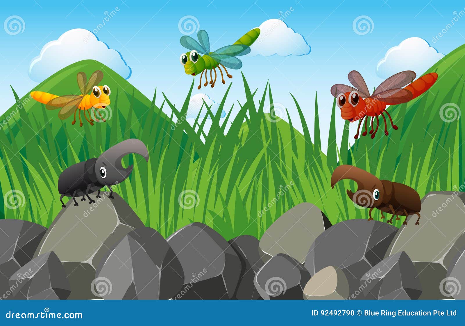 Scene with Insects in the Garden Stock Vector - Illustration of ...