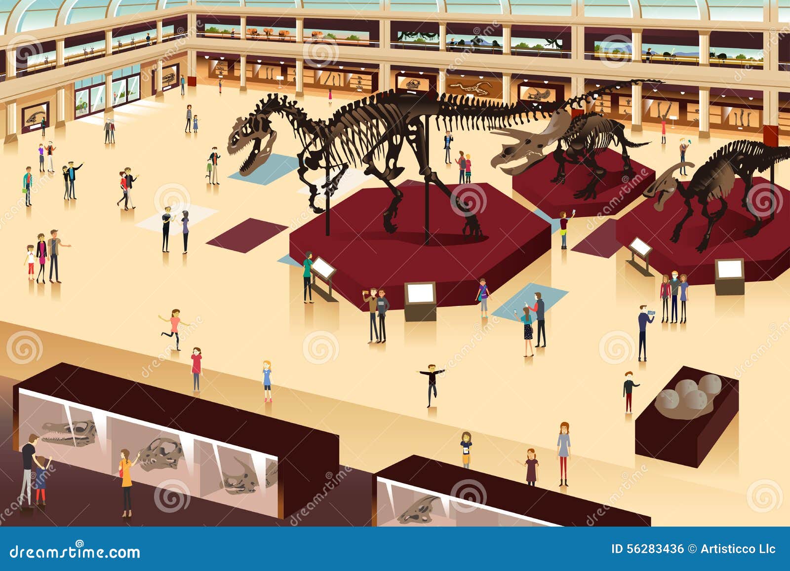 Scene Inside a Natural History Museum Stock Vector - Illustration of ...