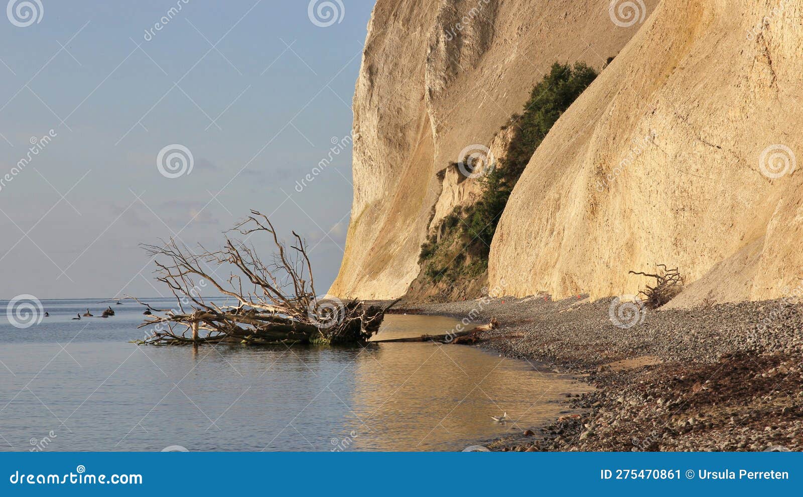 Scene at Moens Klint, Denmark. Stock Image - Image of denmark, cliff ...