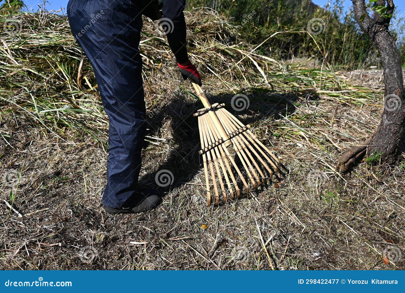 A Scene of Mowing Work on the River Bank. Stock Image - Image of japan ...