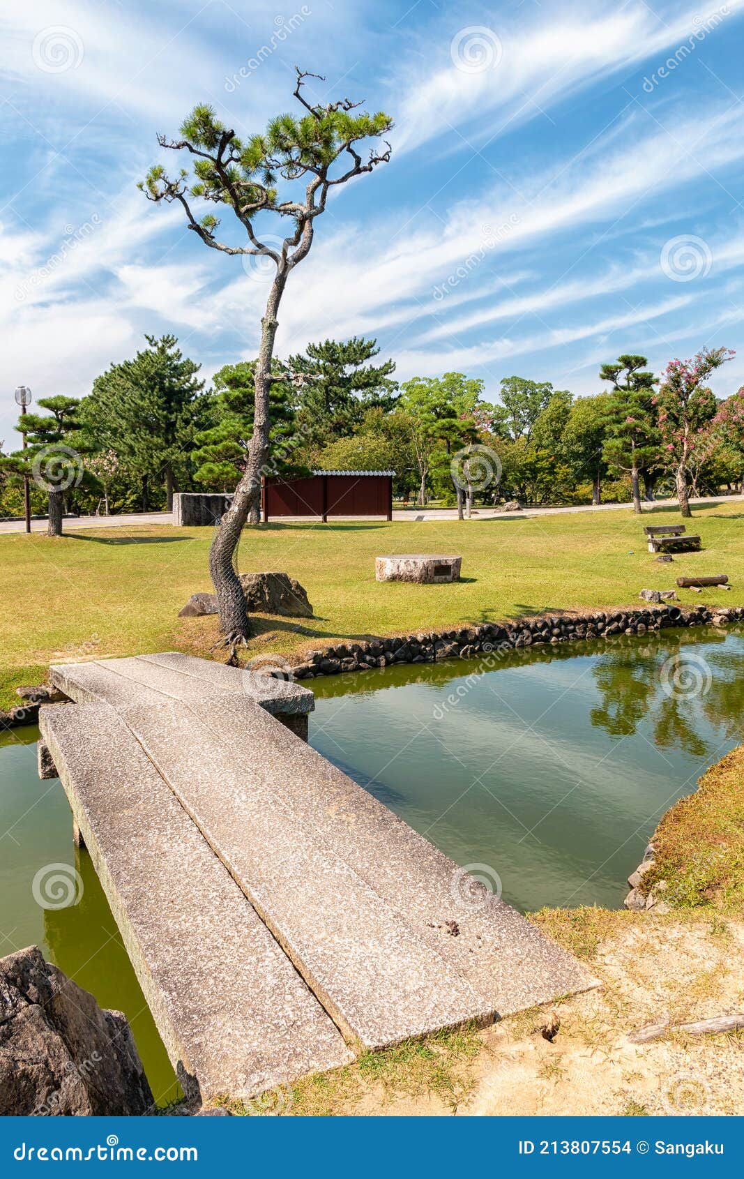 Scene at Nara Park in Nara, Japan Stock Photo - Image of japan, outdoor ...