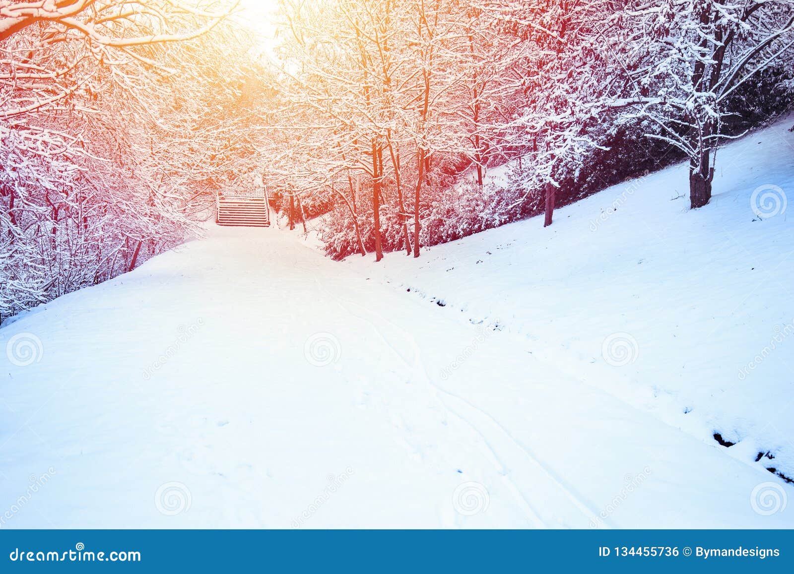 Scene in the Park on a Winter Day Stock Photo - Image of frost, climate ...