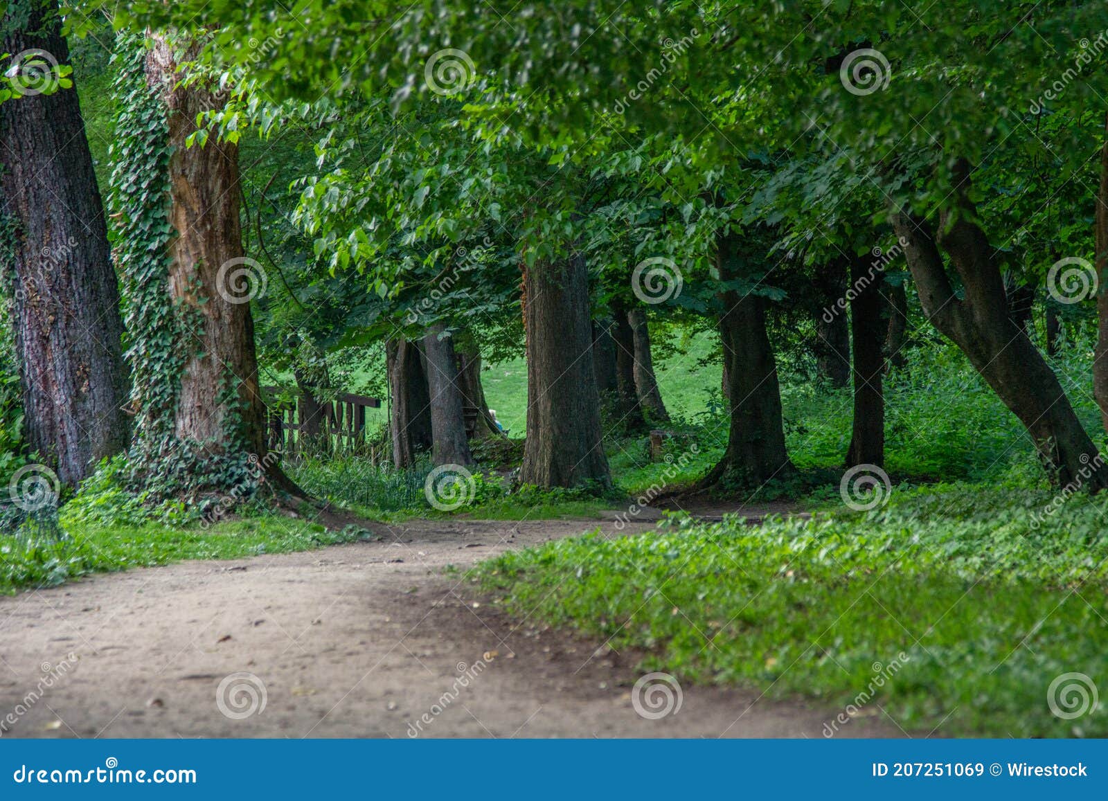 A scene from a public park stock image. Image of park - 207251069