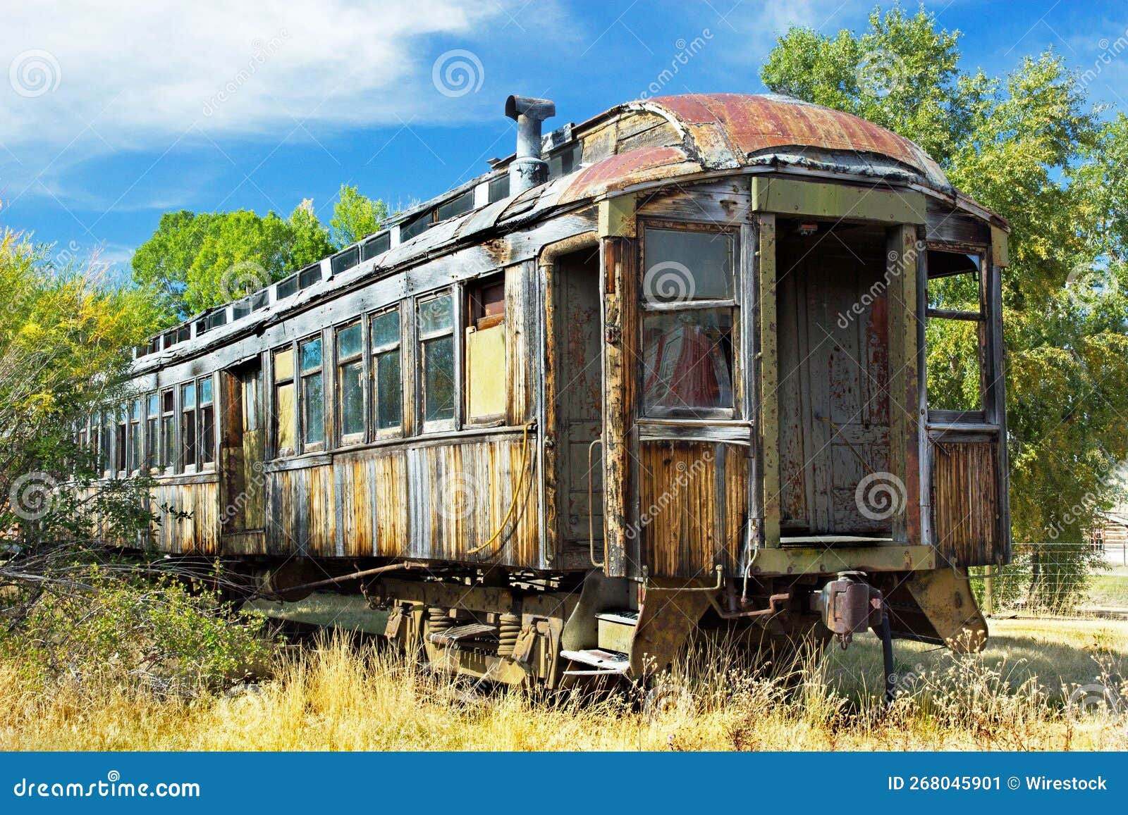 Scene of the Rusty Abandoned Train in the Forest Surrounded by Trees ...