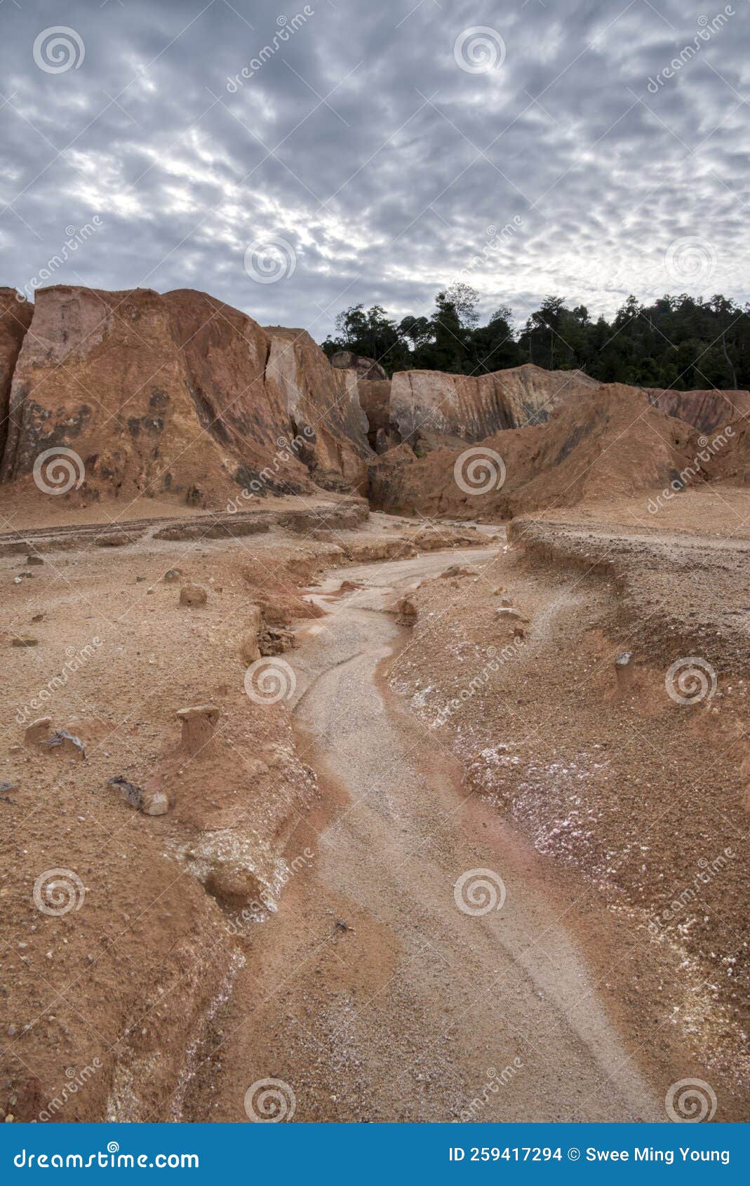Scene of the Soil Erosion Landscape. Stock Photo - Image of trunk, dead ...
