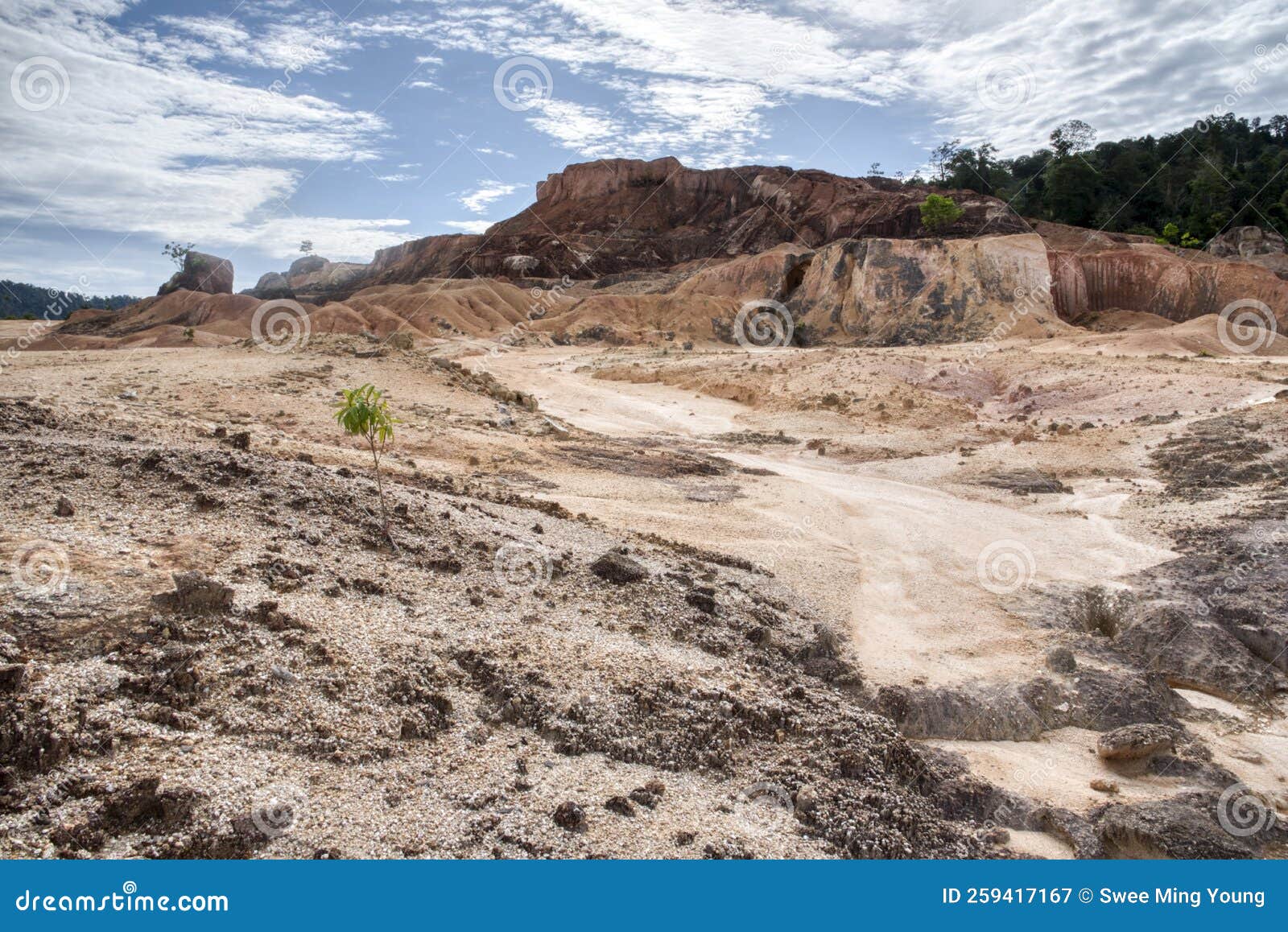 Scene of the Soil Erosion Landscape. Stock Image - Image of deforest ...