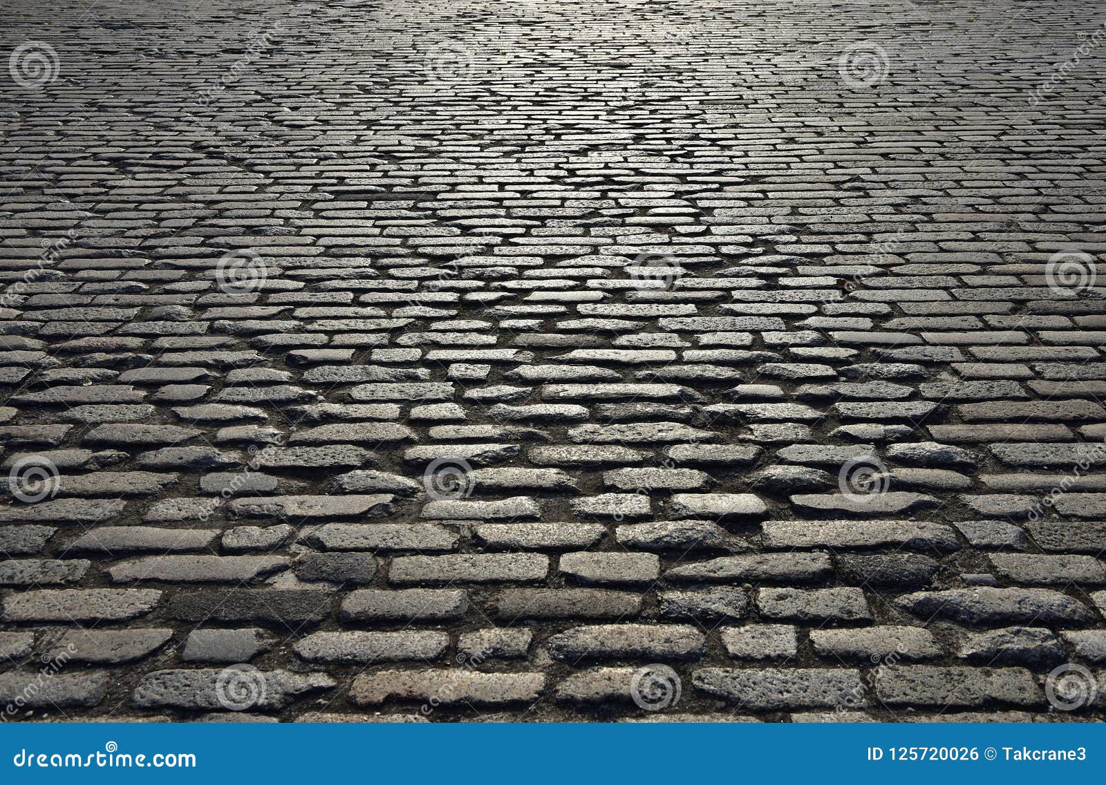 Scene of the Stone Pavement of the Park Stock Photo - Image of park ...
