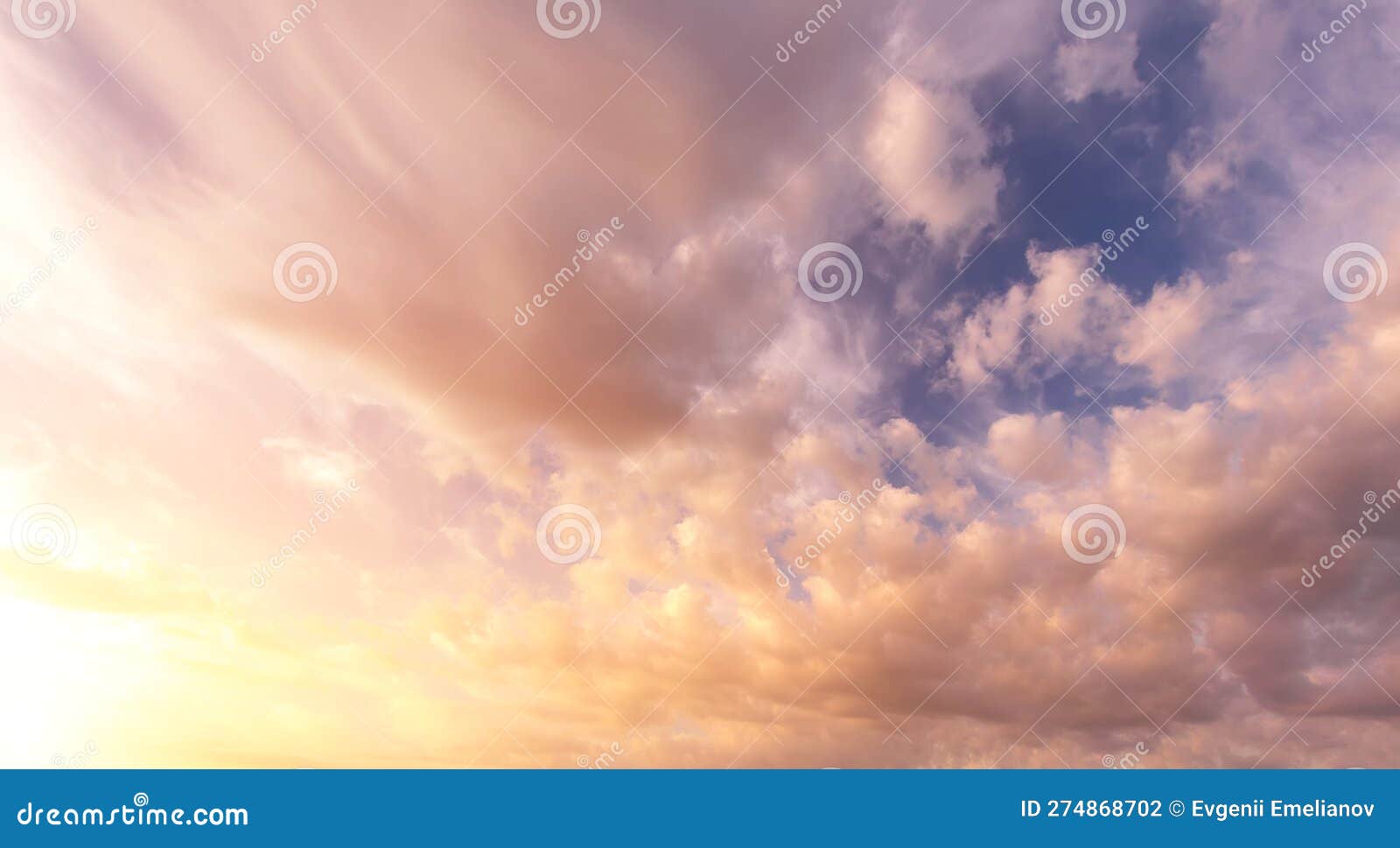 Scene of Sunset on a Field with Grass and Trees in Golden Autumn. Stock ...