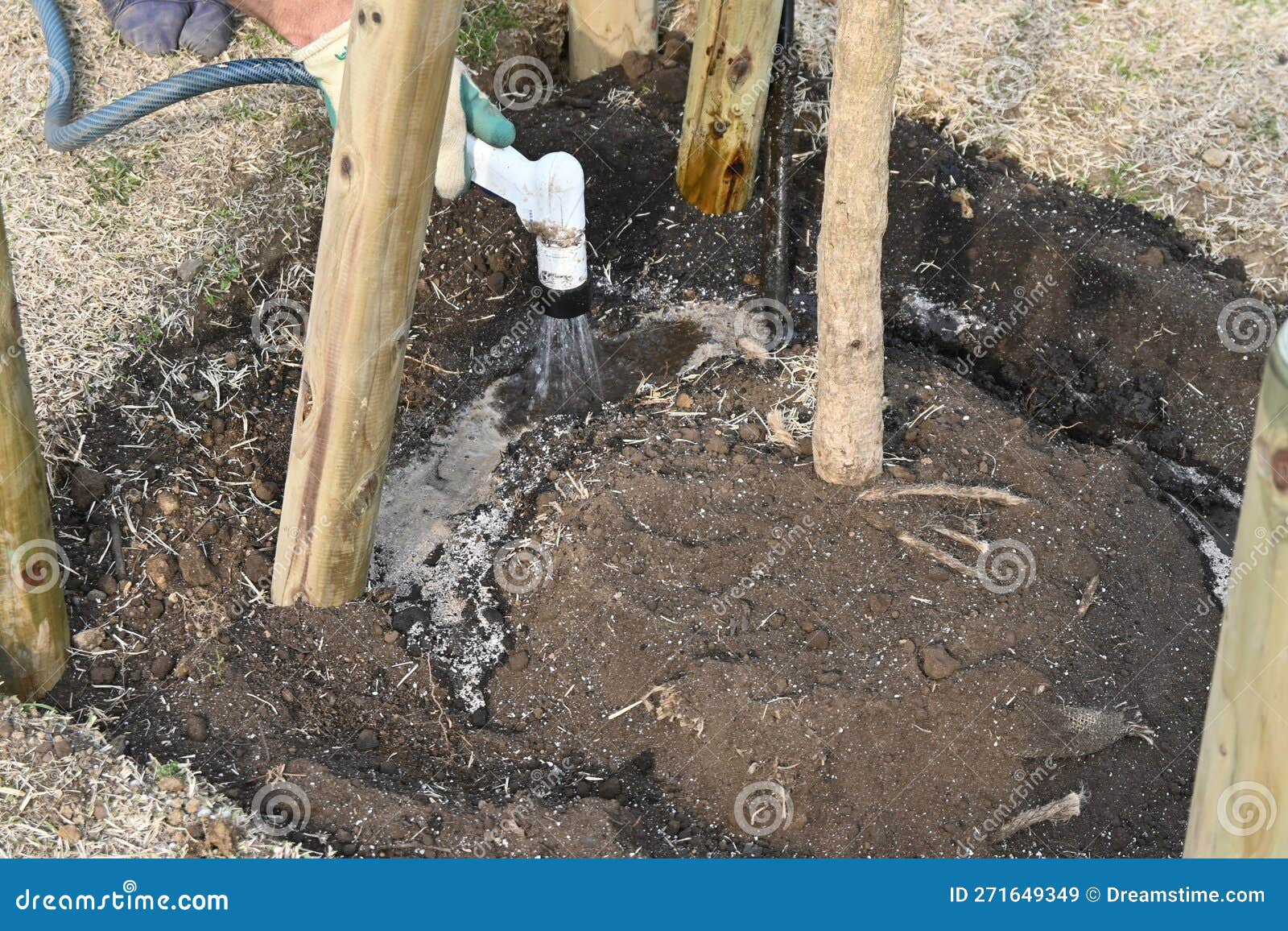 A Scene of Tree Planting Work by a Tree Planter. Stock Image - Image of ...