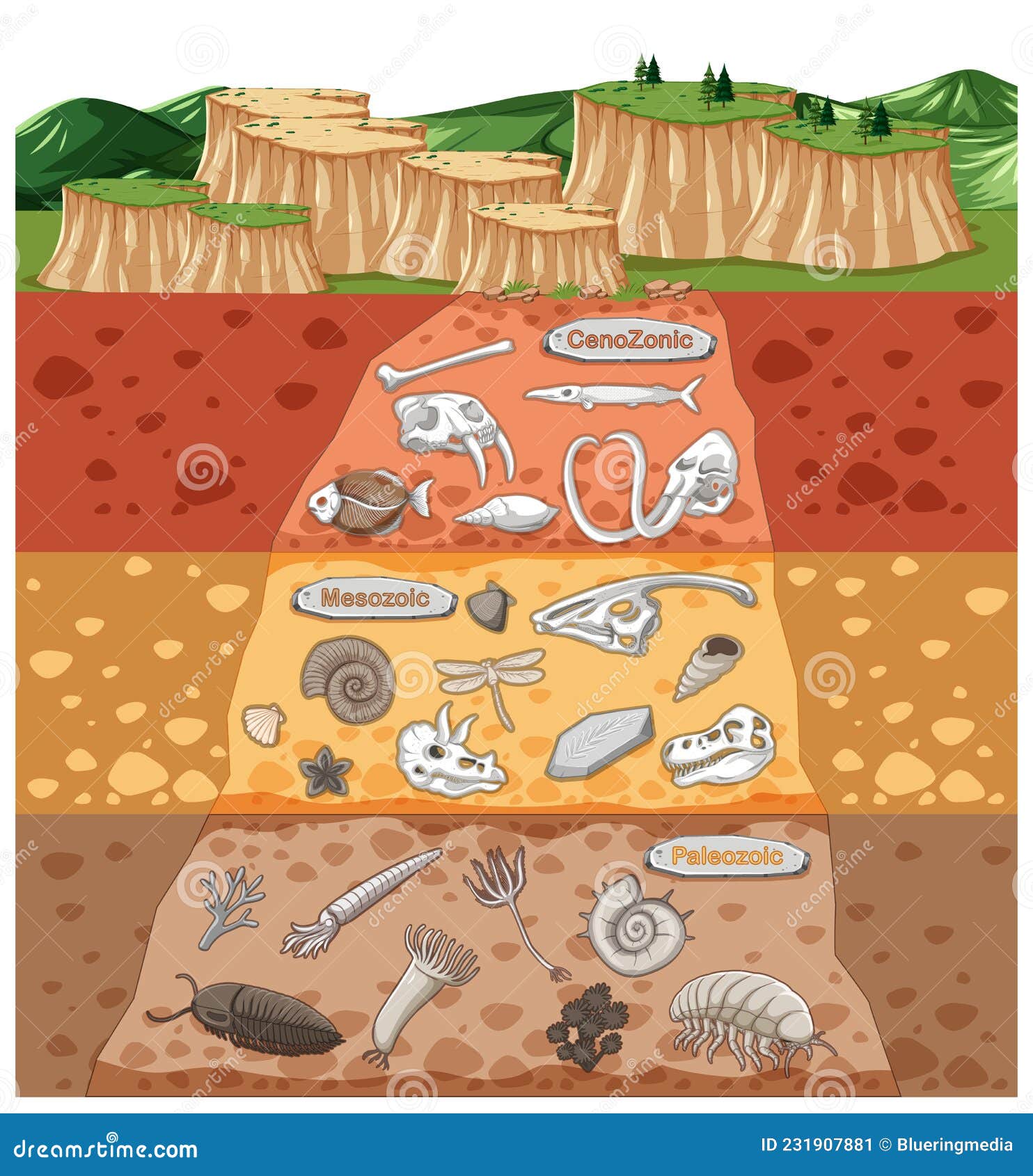 Fossils Cartoons, Illustrations & Vector Stock Images - 2051 Pictures ...