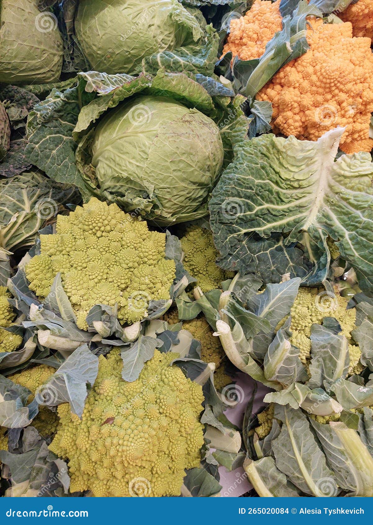 The Scene with Vegetables, Various Types of Cabbage Stock Photo - Image ...