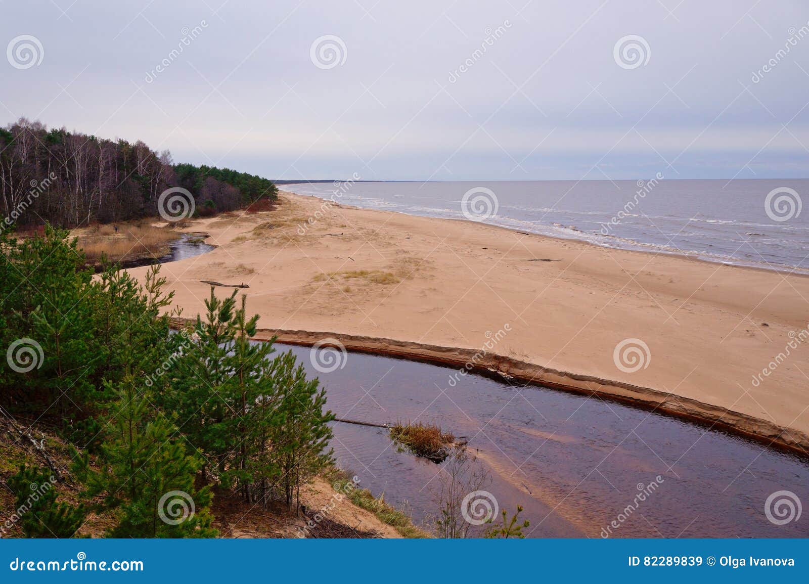 Scene Where River Flows To the Sea Stock Image - Image of view ...