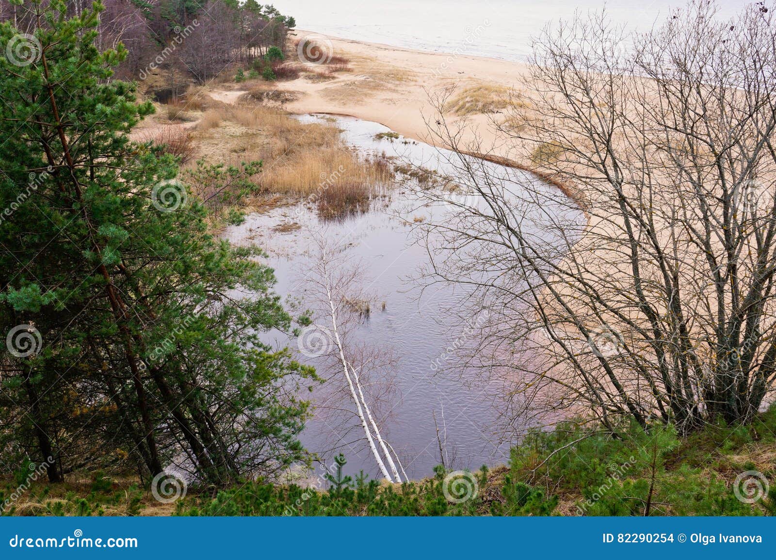 Scene Where River Flows To the Sea Stock Photo - Image of sand, flows ...