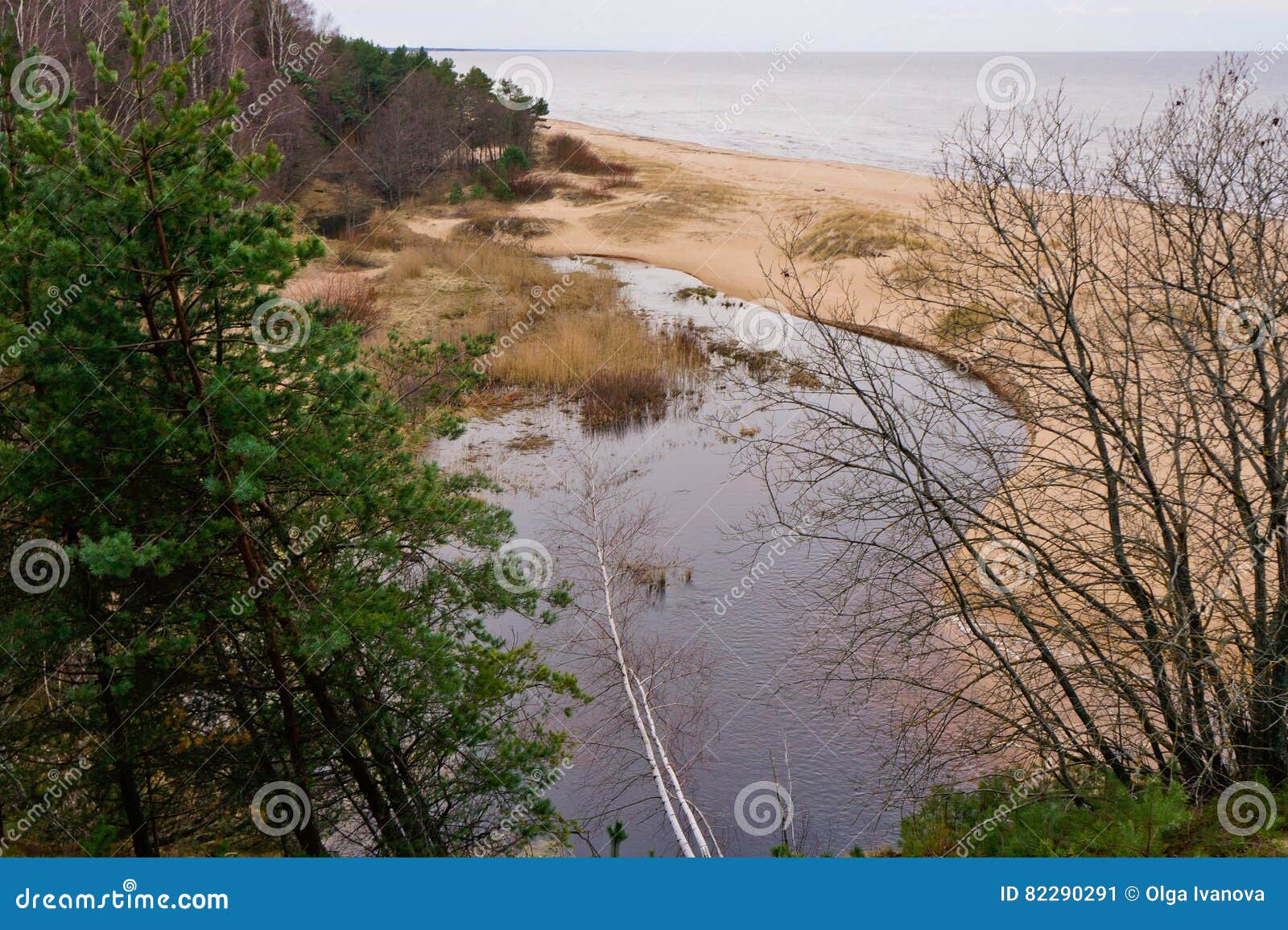 Scene Where River Flows To the Sea Stock Image - Image of south ...