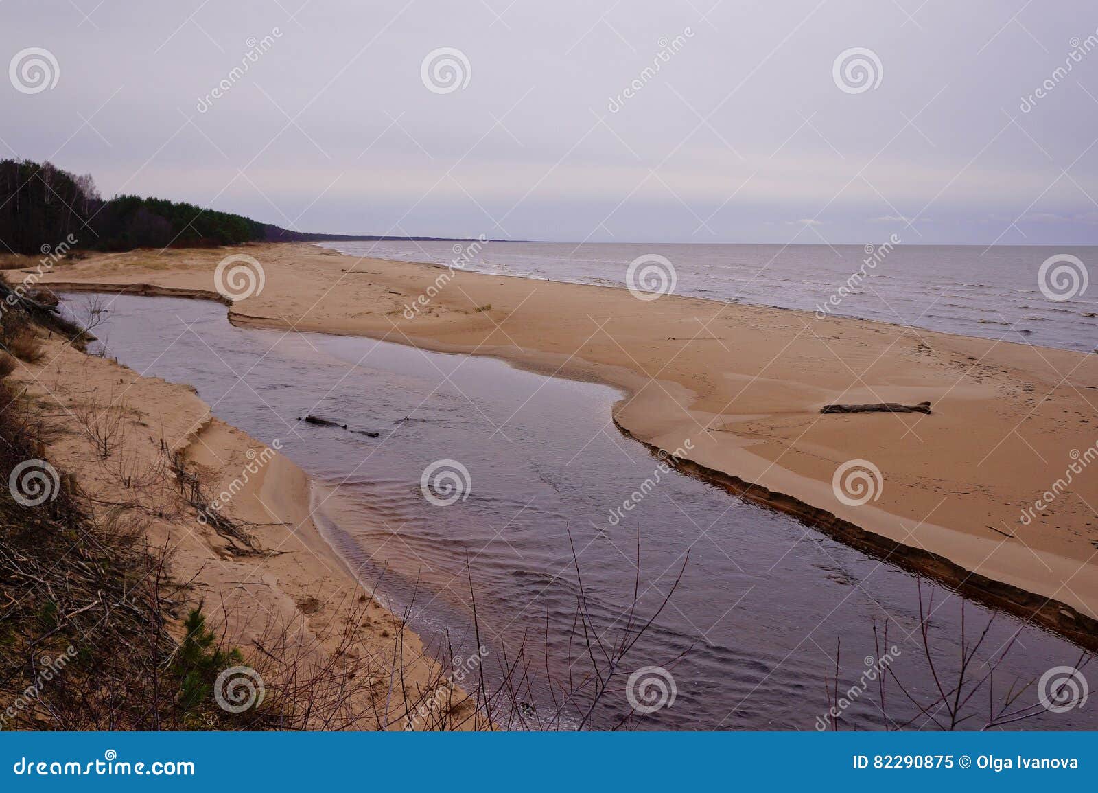 Scene Where River Flows To the Sea Stock Image - Image of travel, sandy ...
