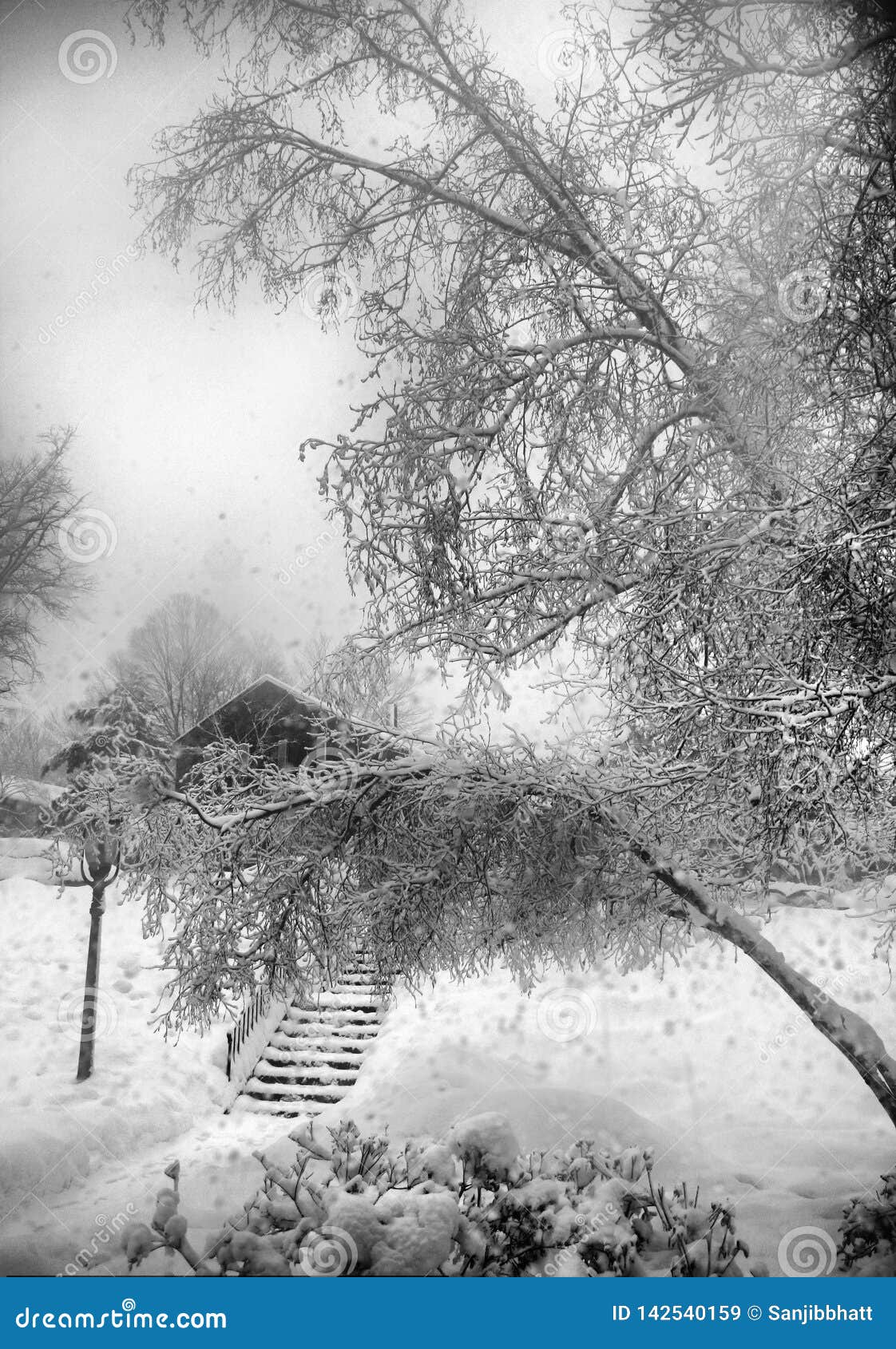 A Scene during Winter Blizzard Stock Image - Image of falls, blizzard ...